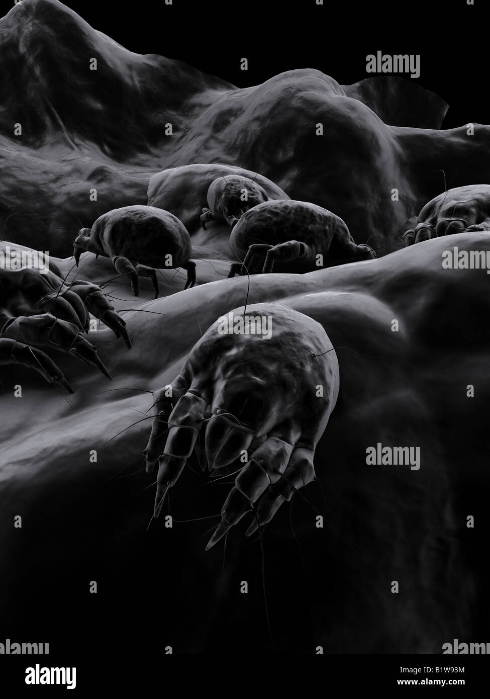 Micro mites hi-res stock photography and images - Alamy