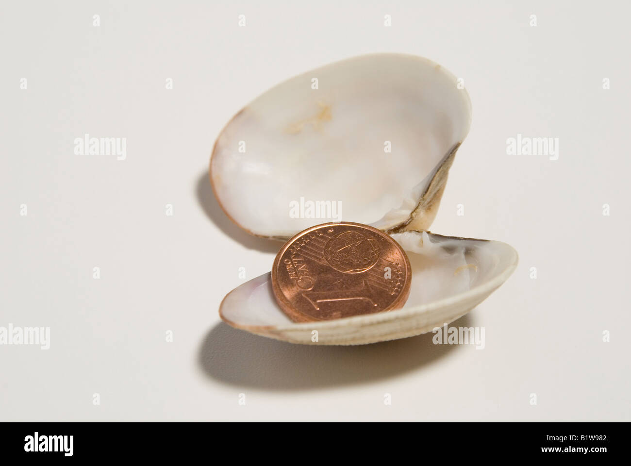 Clam shell coin hi-res stock photography and images - Alamy