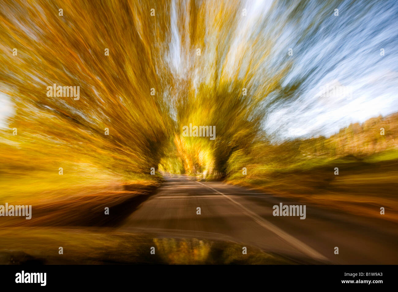 Driving through Autumn colours Derbyshire England Stock Photo - Alamy