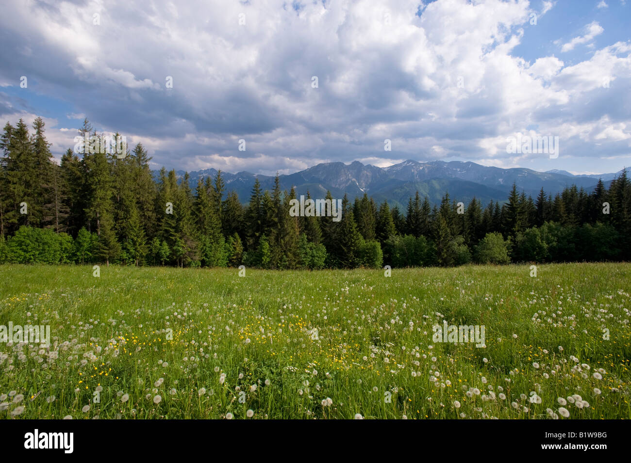Podhale region Poland Stock Photo - Alamy