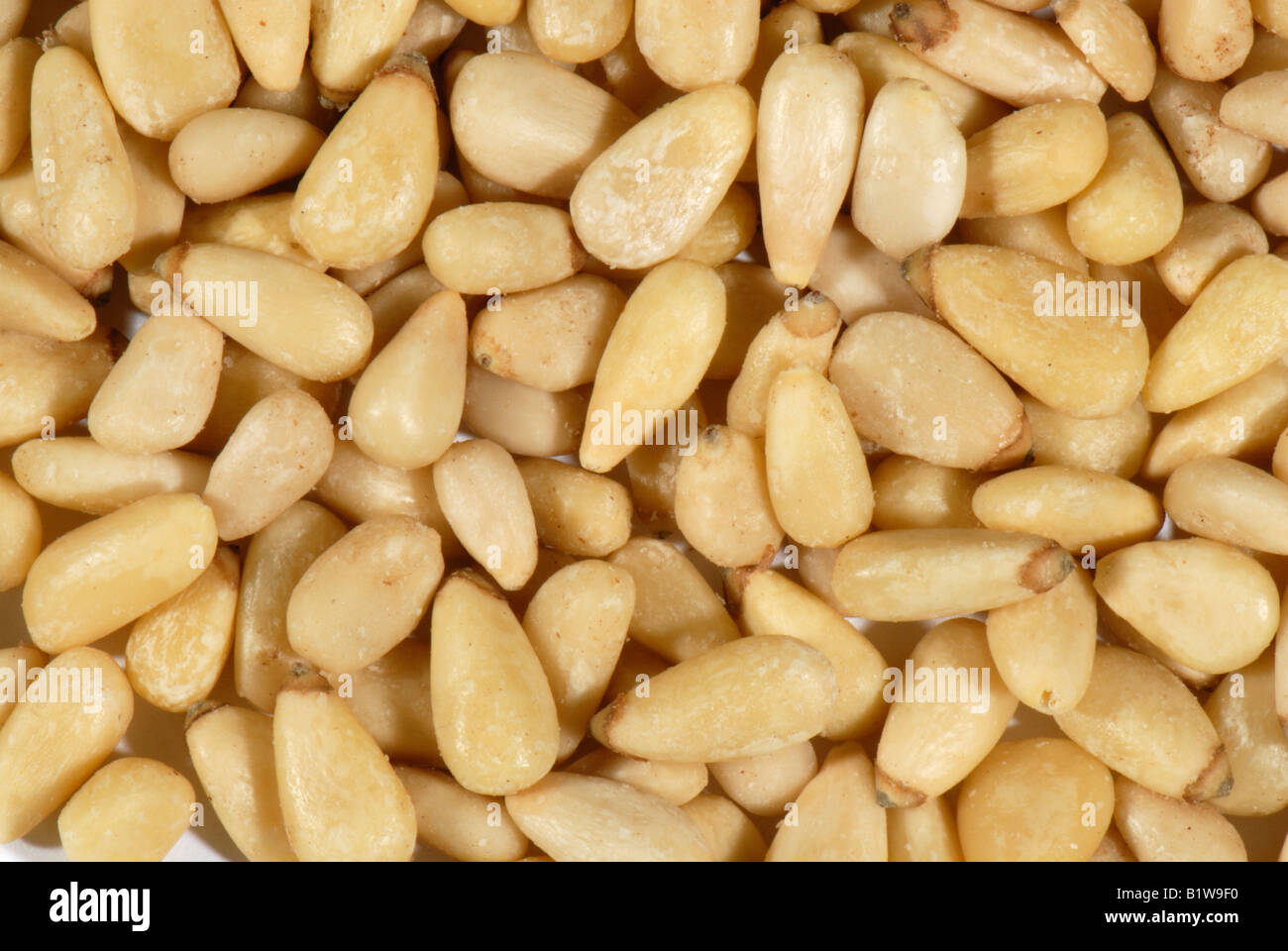 Pinus seed hi-res stock photography and images - Alamy
