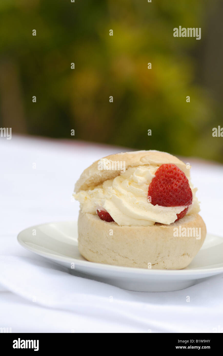 A cream bun shot outdoors Stock Photo - Alamy