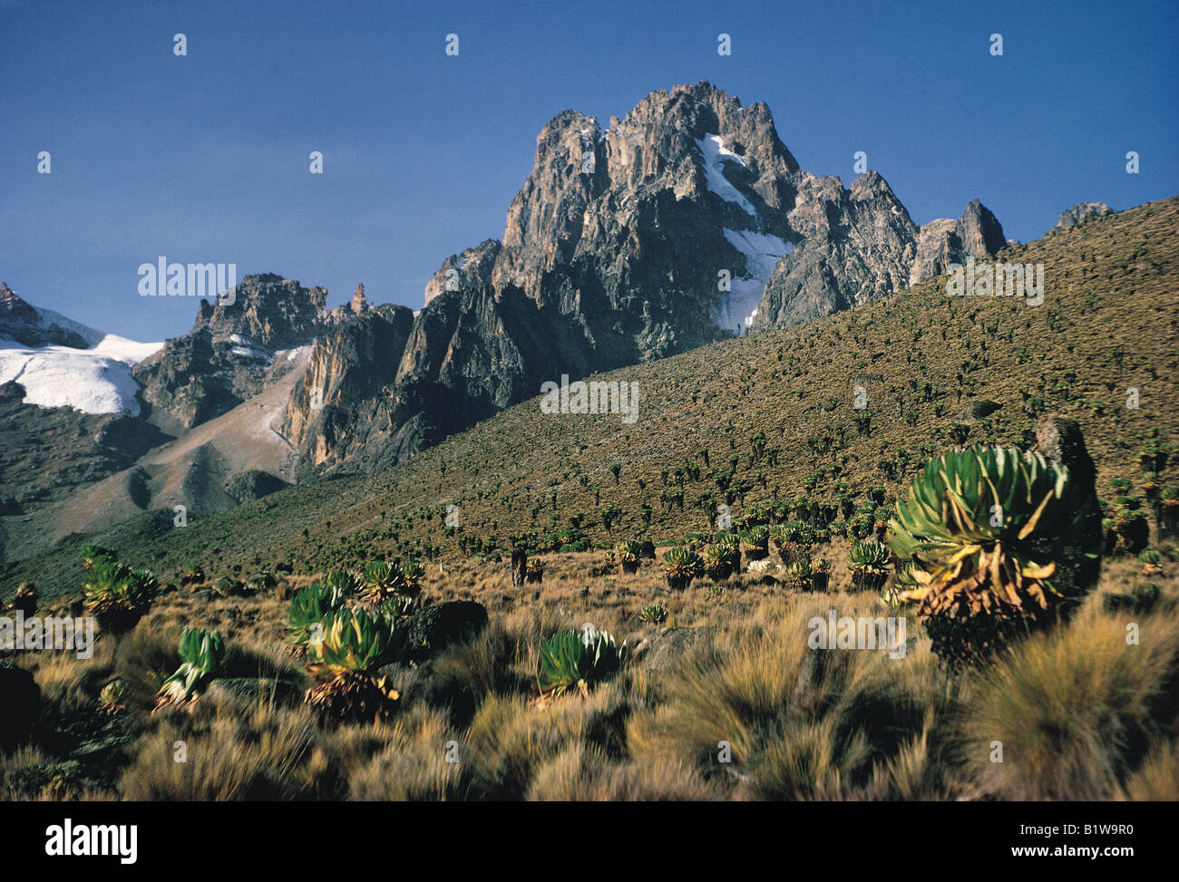 Mount Kenya from the Mackinder Valley just above Shipton s cave Kenya ...