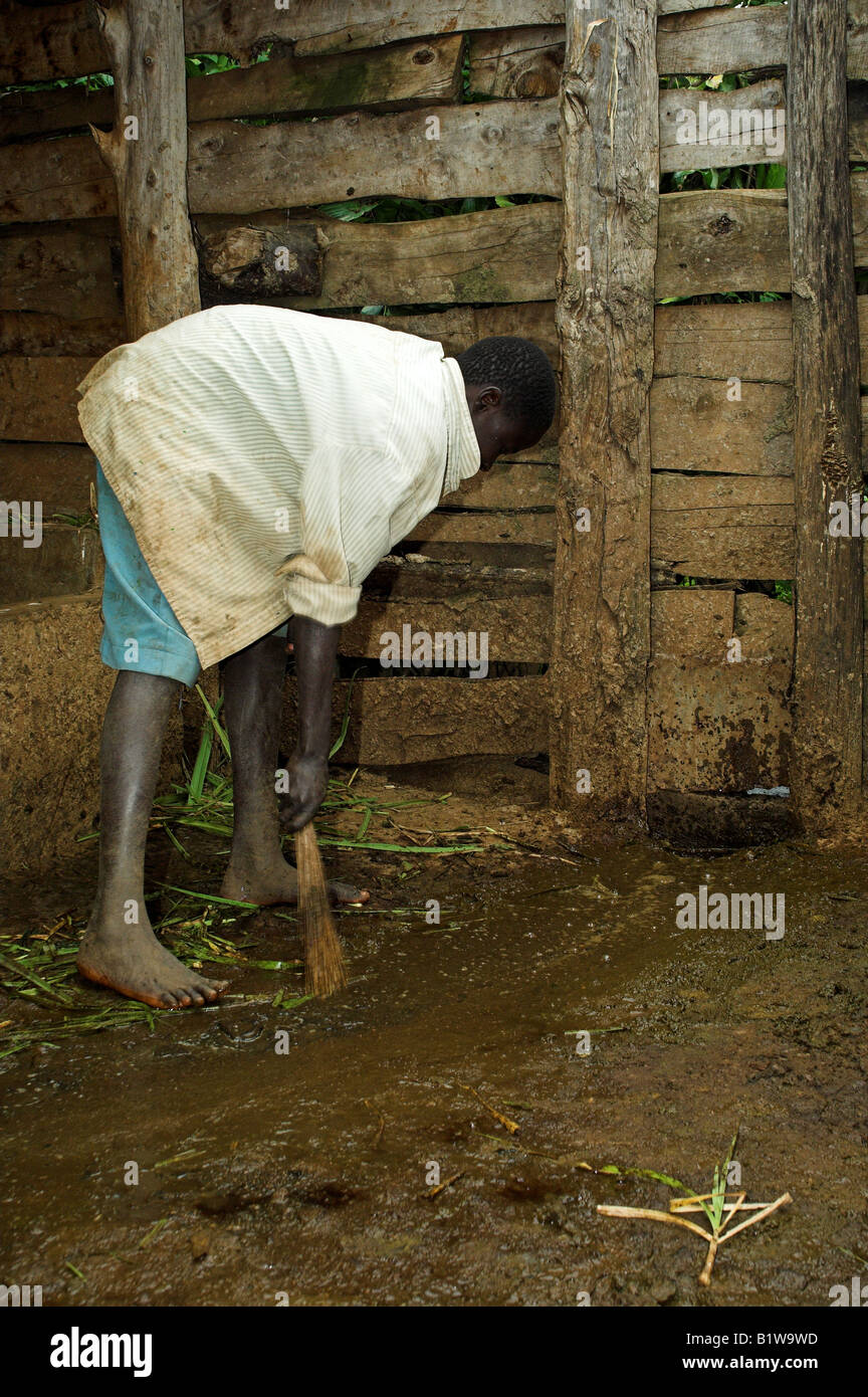 Farmyard Manure High Resolution Stock Photography and Images - Alamy