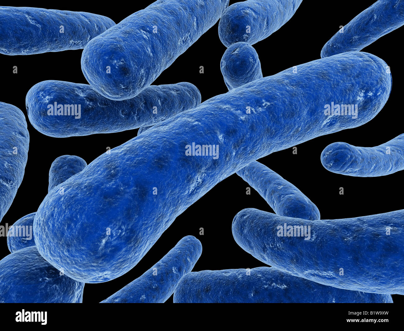 Bacteria infections hi-res stock photography and images - Alamy