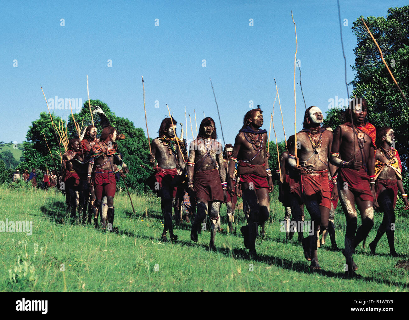 A parade of painted Maasai warriors or Moran during Eunoto ceremony ...