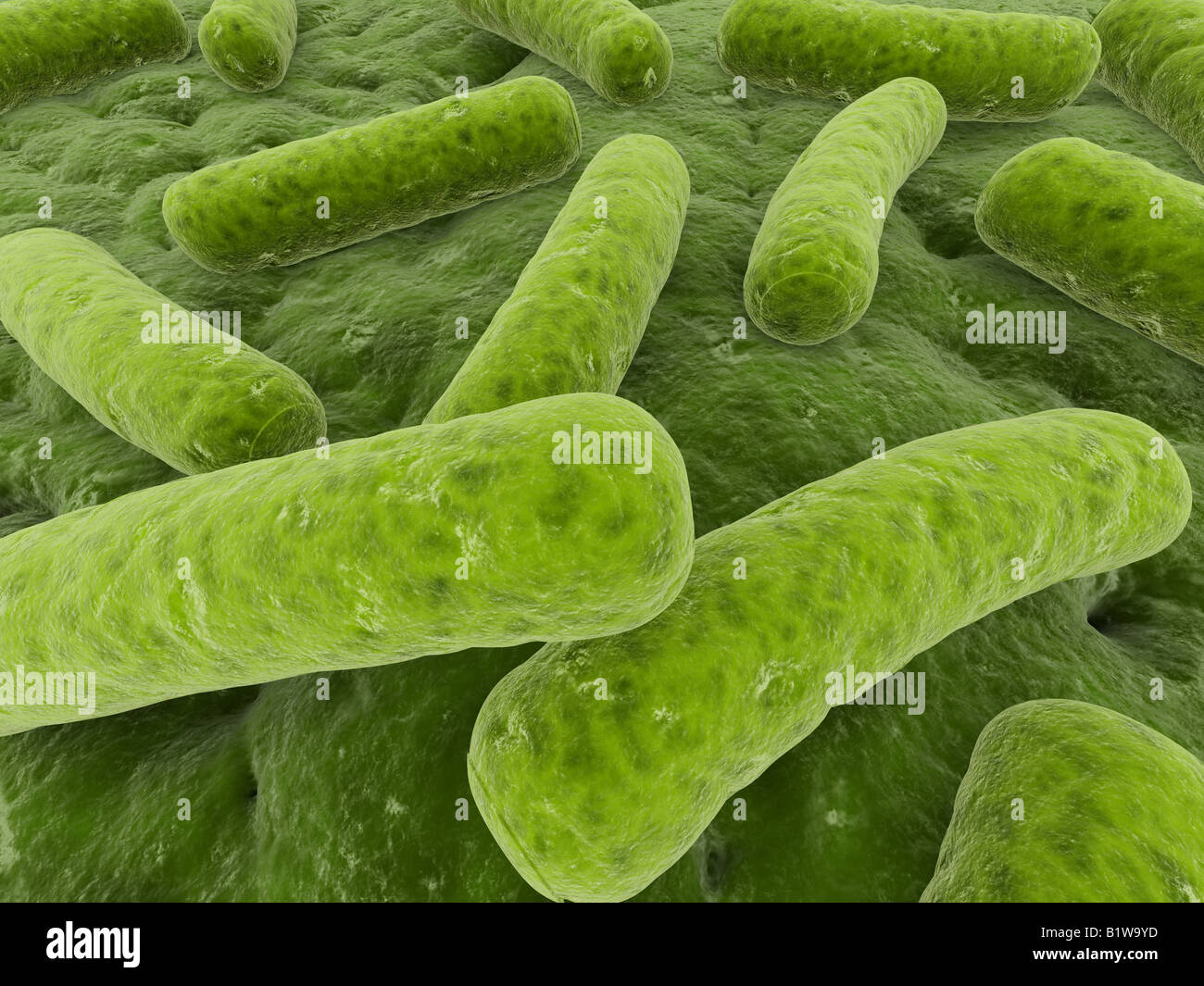 Bacteria illustrations hi-res stock photography and images - Alamy