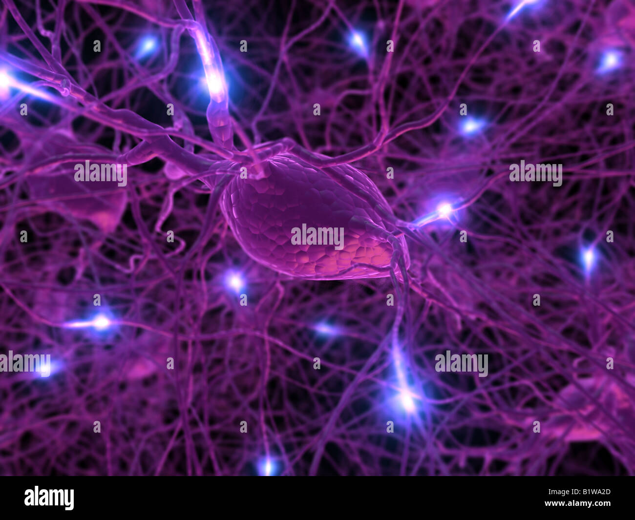 axon, nerve cells Stock Photo - Alamy