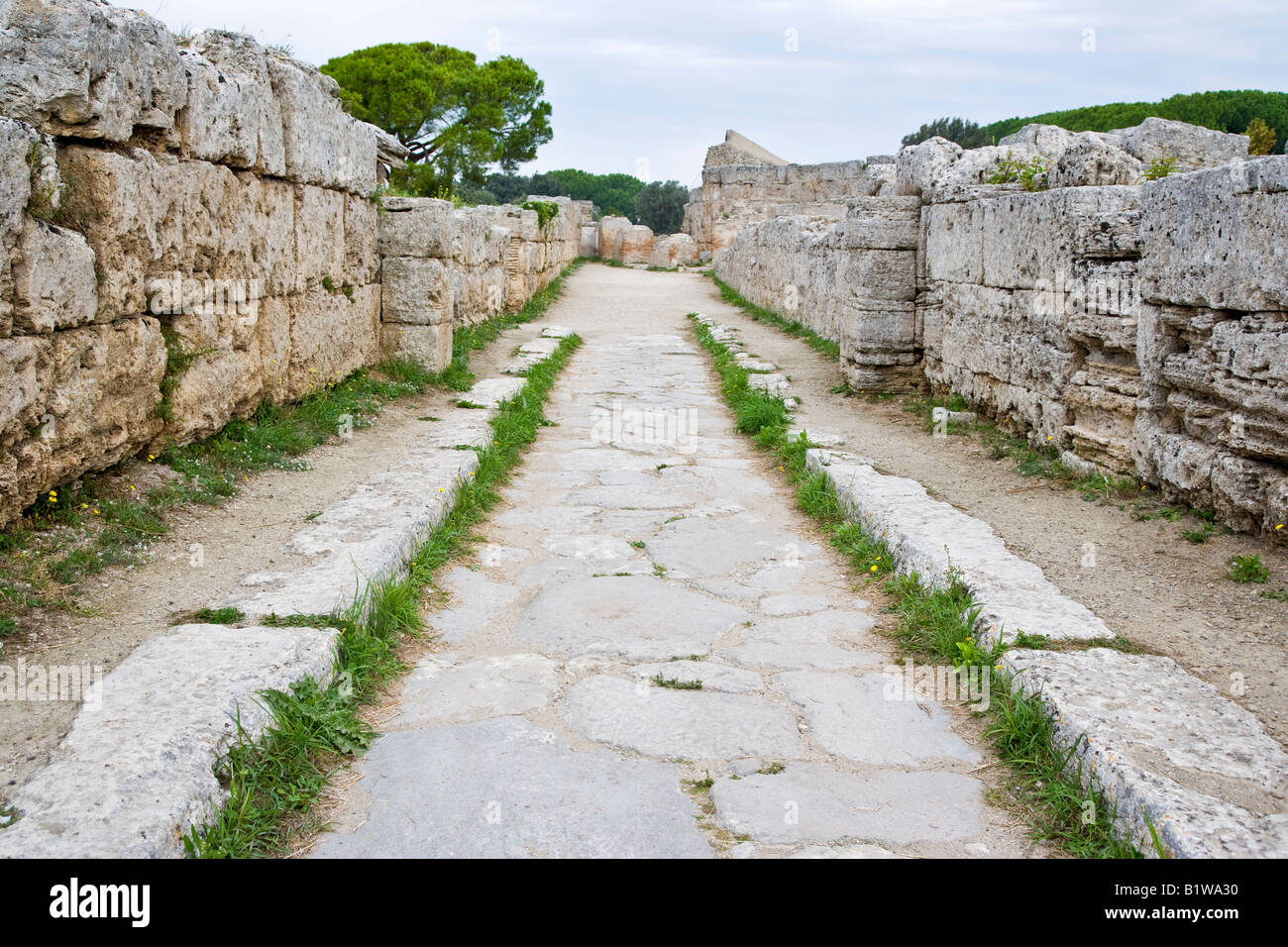 Via Sacra Greek pathway Paestum Campania Italy Stock Photo - Alamy