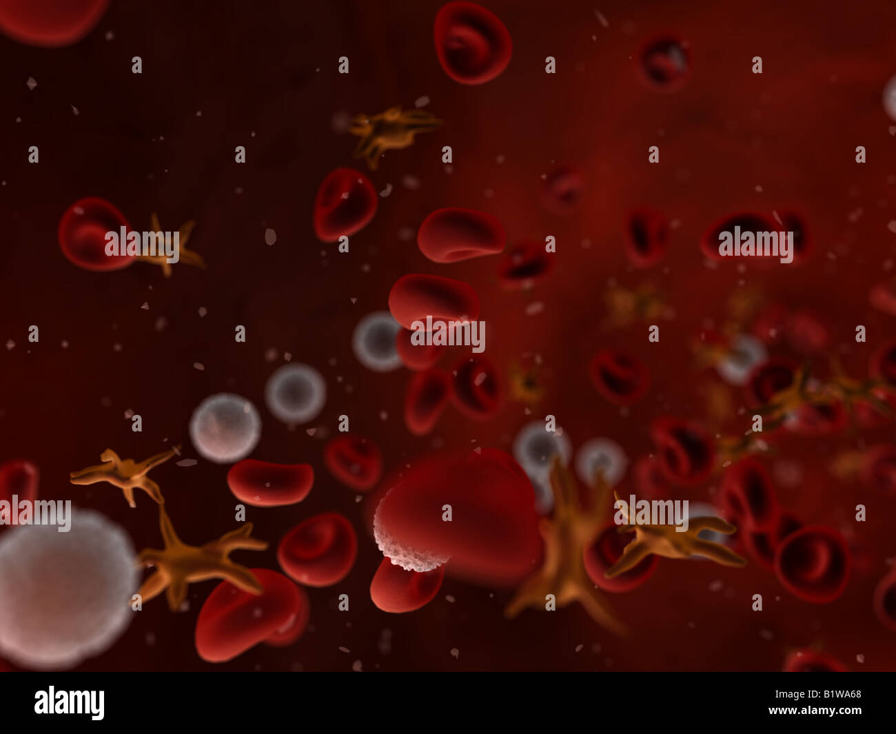 Blood parts hi-res stock photography and images - Alamy