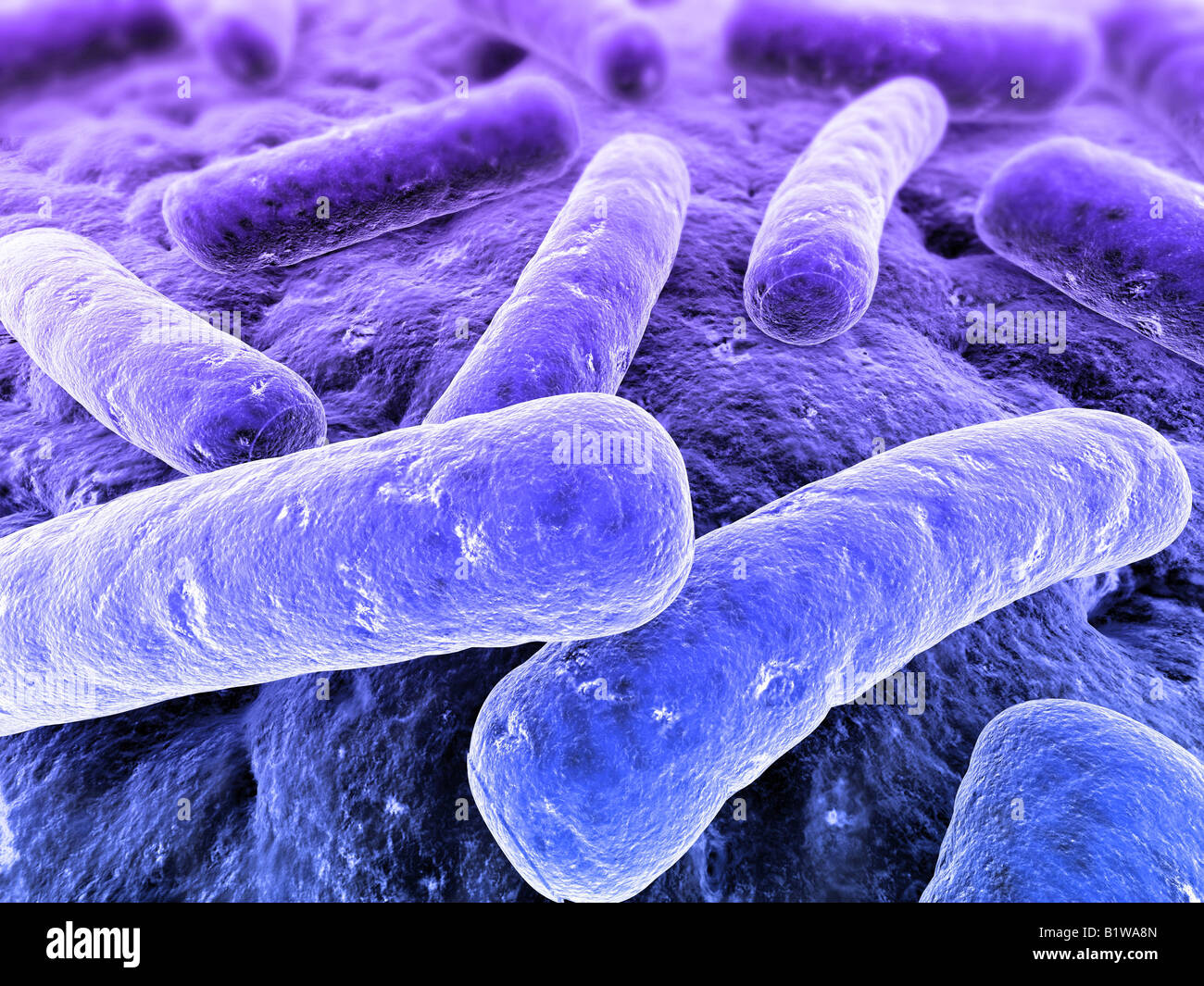 3d bacteria hi-res stock photography and images - Alamy