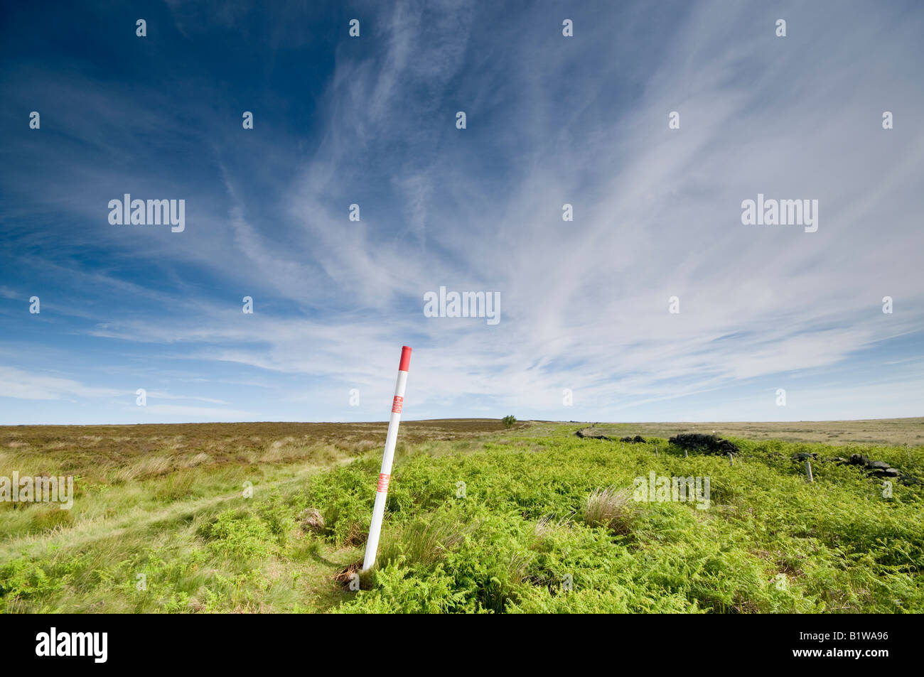 High pressure gas plastic marker post on high moorland in Derbyshire ...
