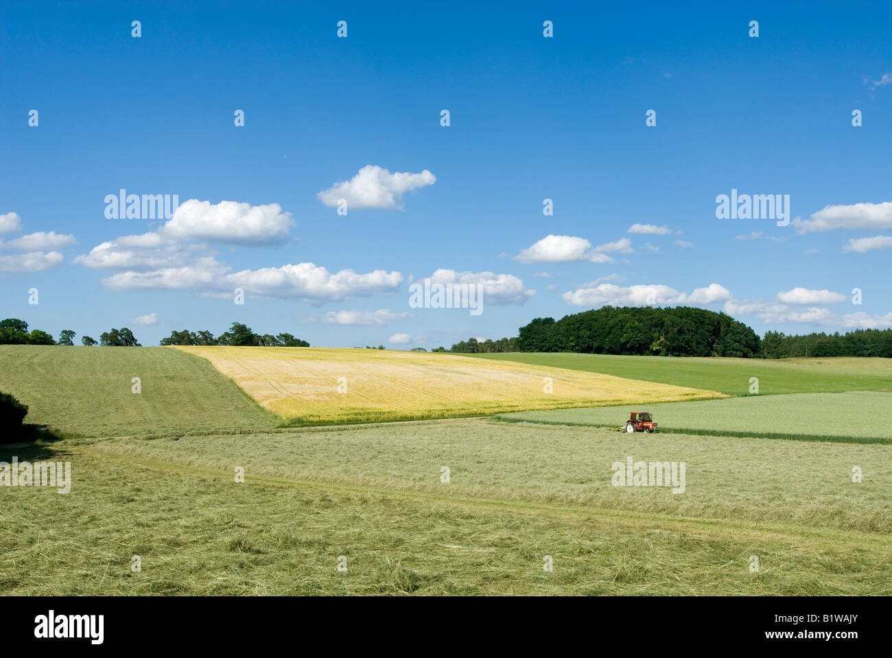 Making hay hi-res stock photography and images - Alamy