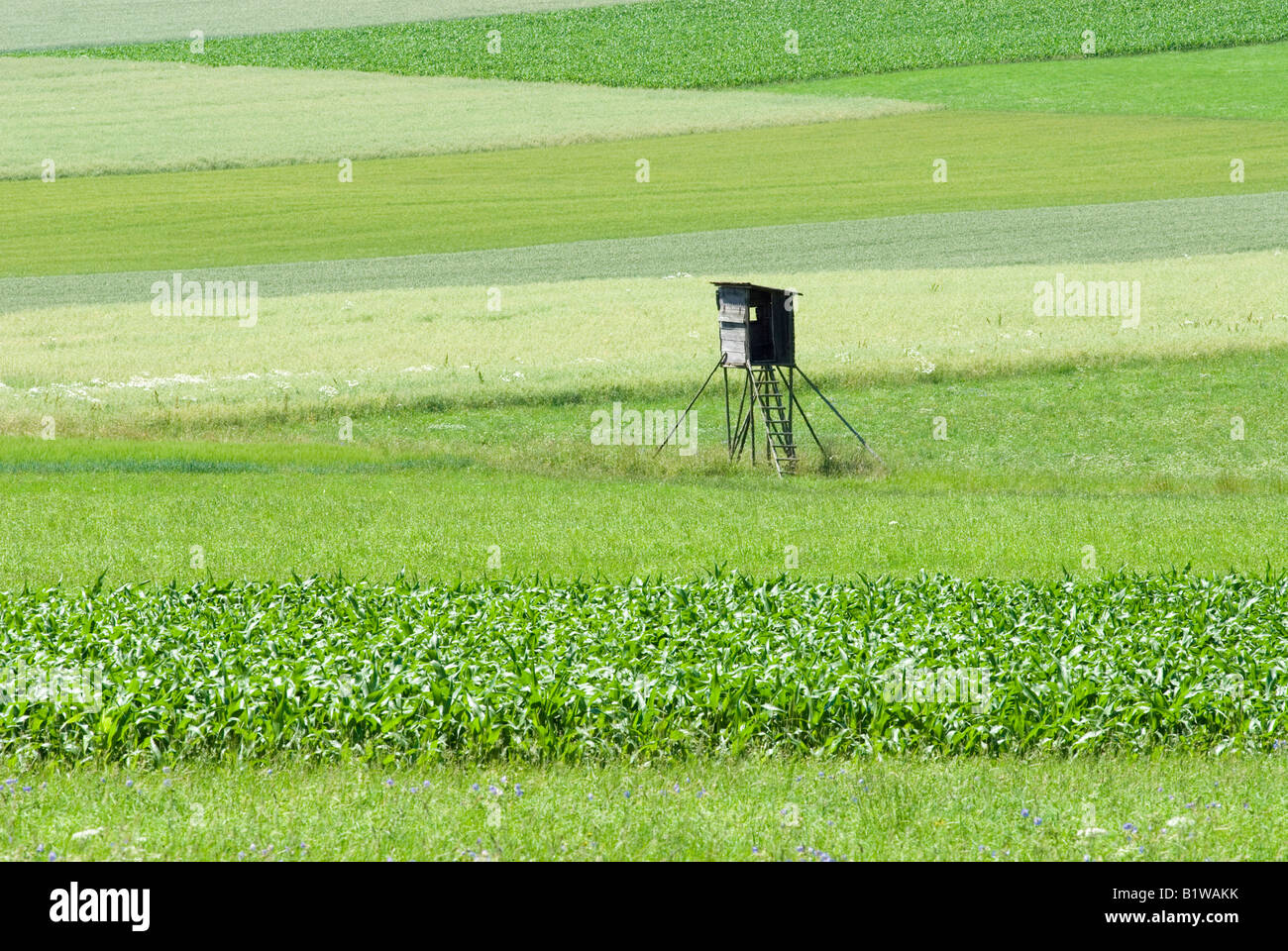 Hunter hide hi-res stock photography and images - Alamy