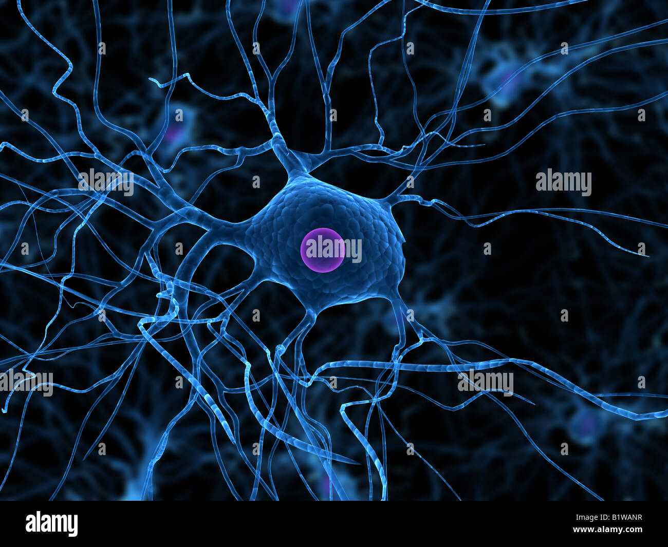 Cell nucleus hi-res stock photography and images - Alamy