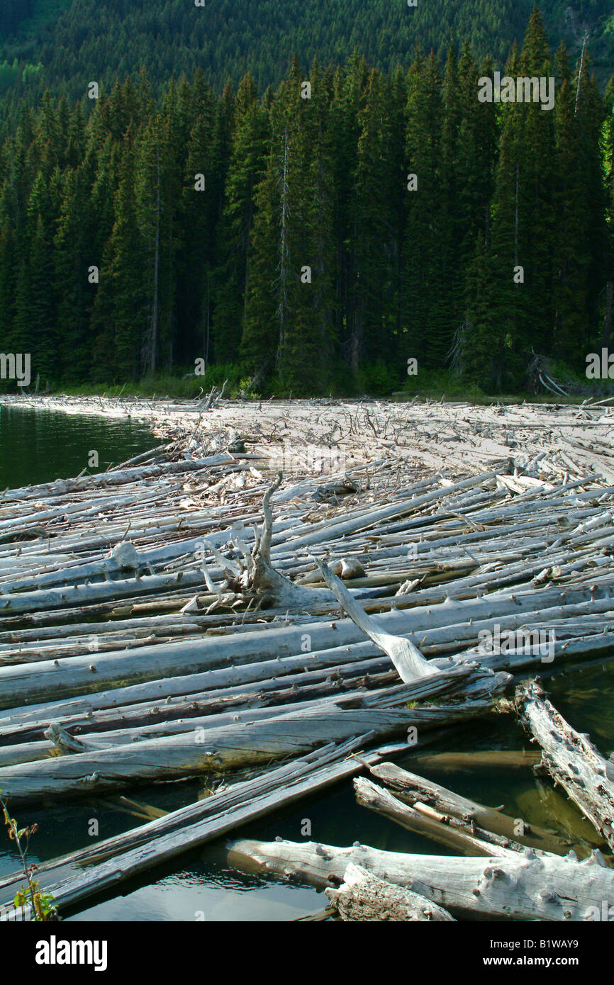 Hewed hi-res stock photography and images - Alamy