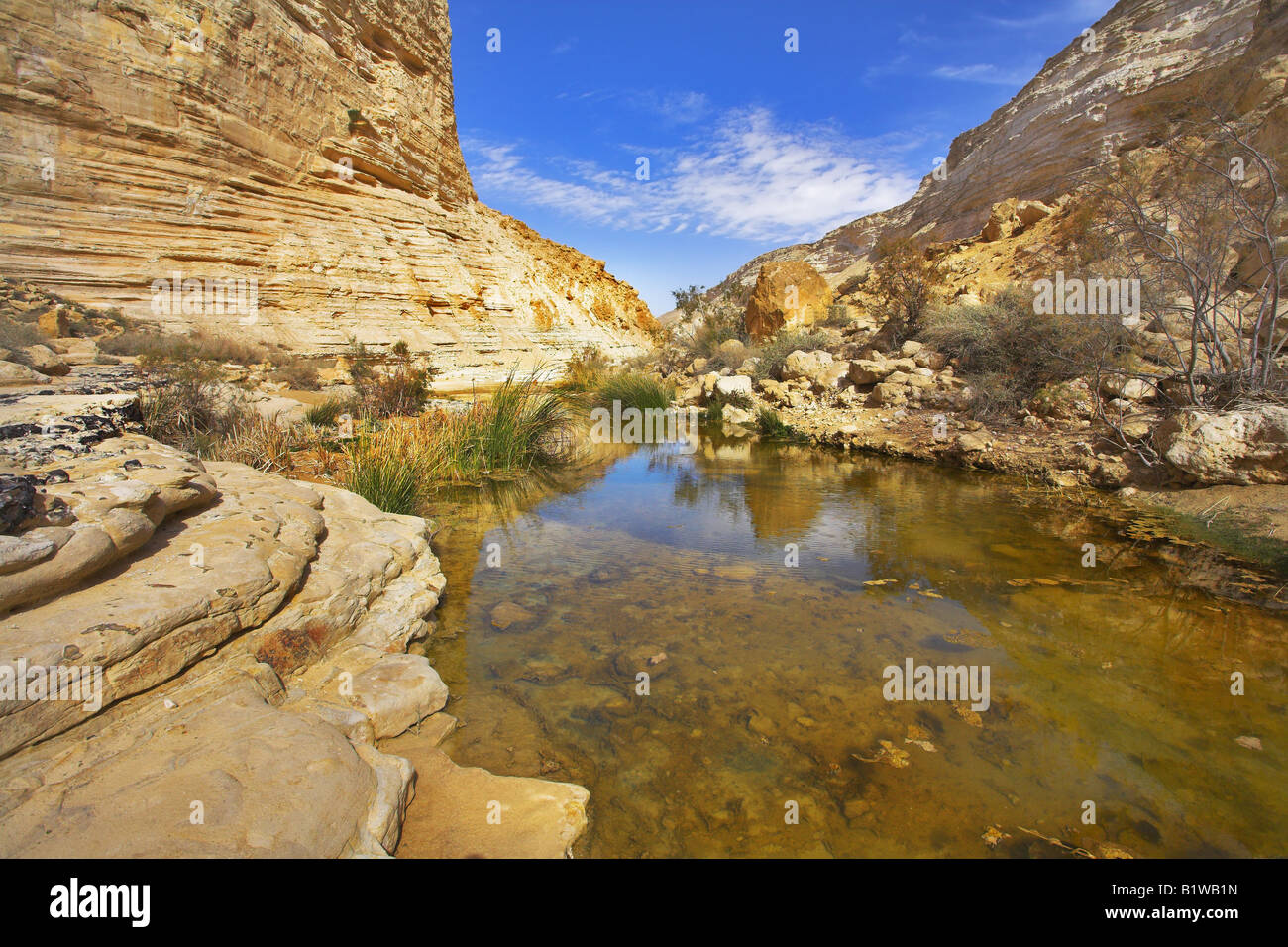 Boggy terrain hi-res stock photography and images - Alamy