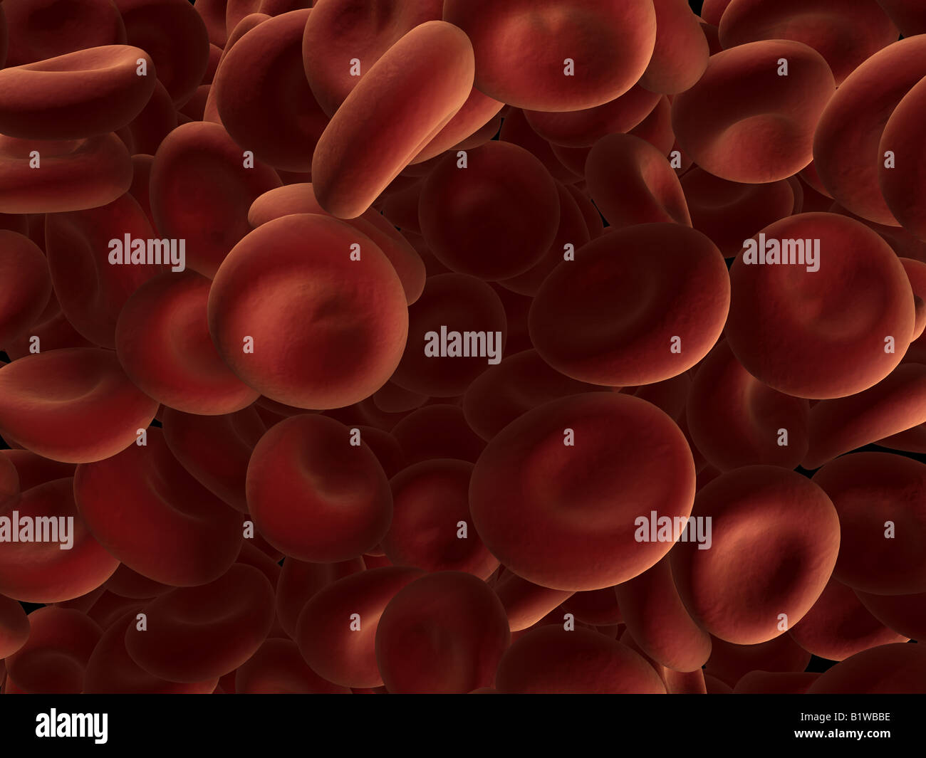 red blood cells Stock Photo - Alamy