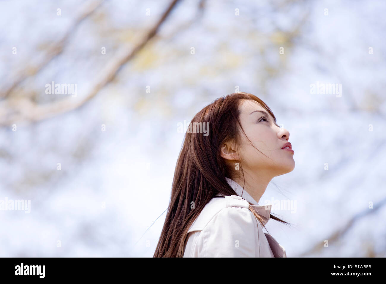 Profile of Japanese young woman Stock Photo - Alamy