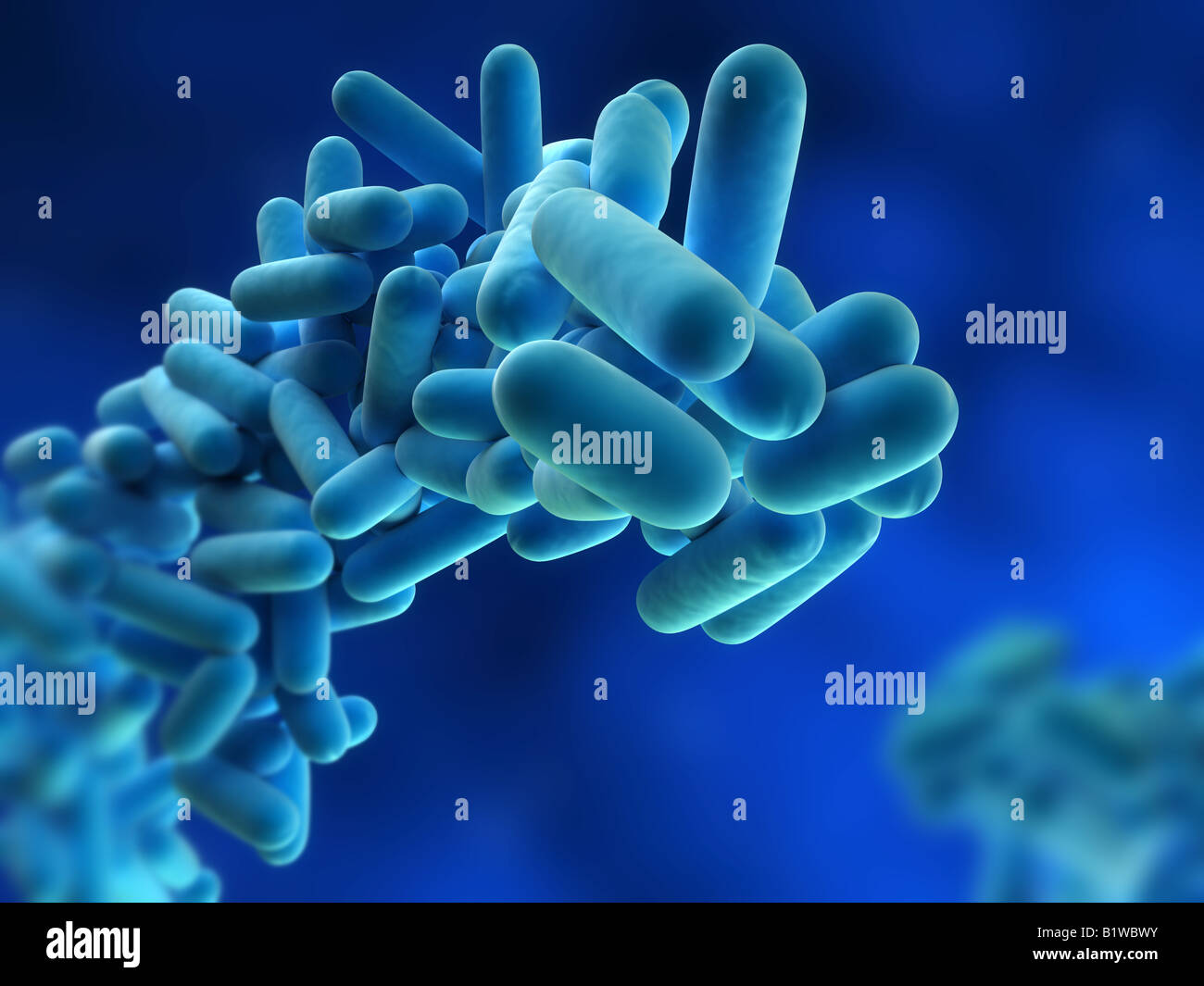 Legionella pneumophila bacteria hi-res stock photography and images - Alamy