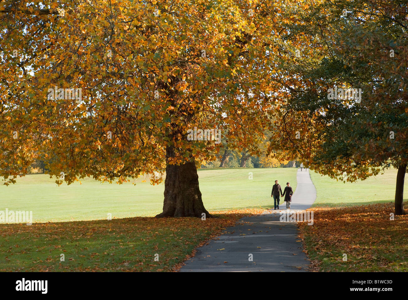 Romantic couple walking through autumn hi-res stock photography and ...