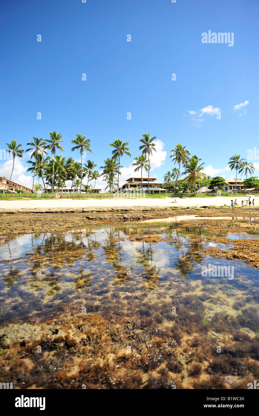 Praia de Forte, Salvador de Bahia, Brazil Stock Photo - Alamy