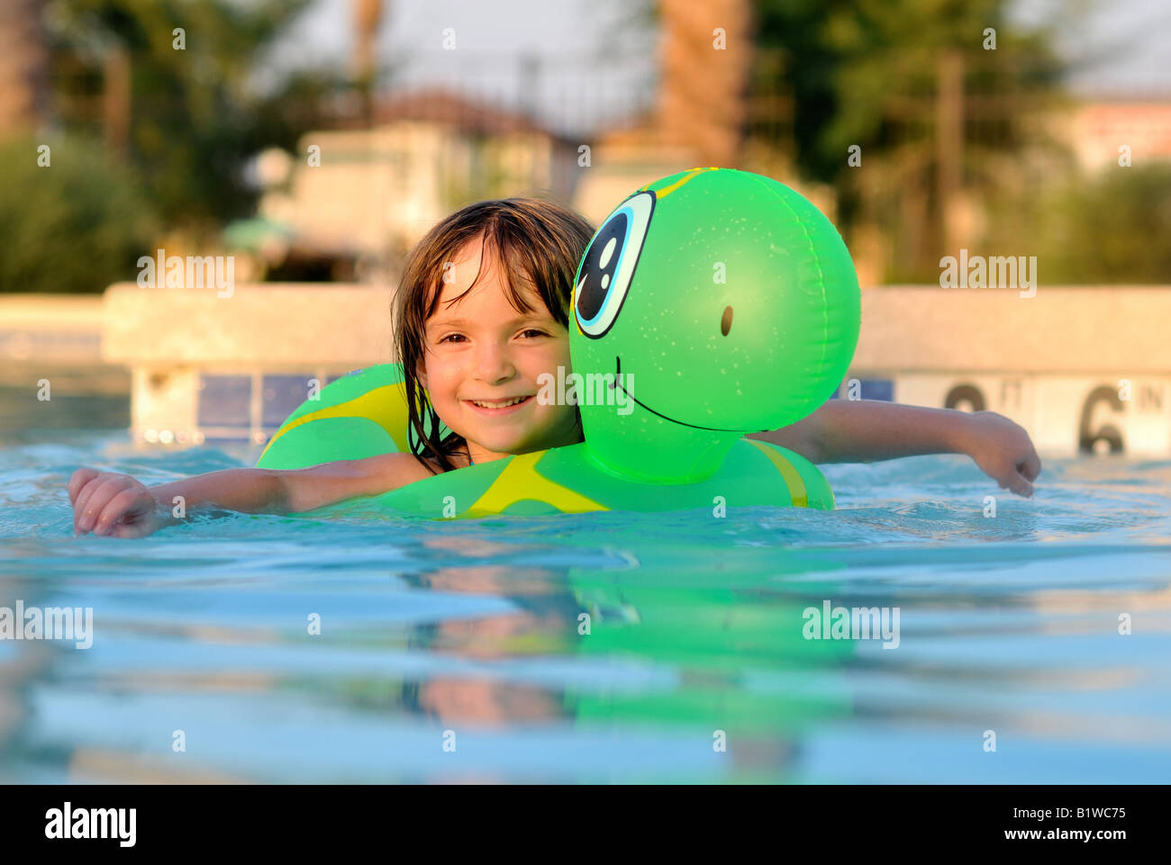 Turtle swimming in pool hi-res stock photography and images - Alamy