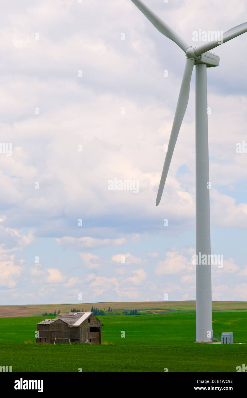 Wind turbines in Southern Alberta Stock Photo - Alamy