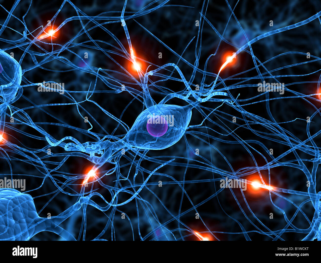 Brain and nerve cells hi-res stock photography and images - Alamy