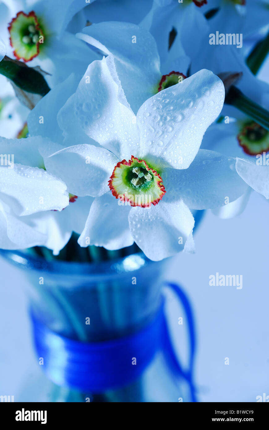 Flowers, art, natural design, fresh boquet, home, lifestyle,love for ...
