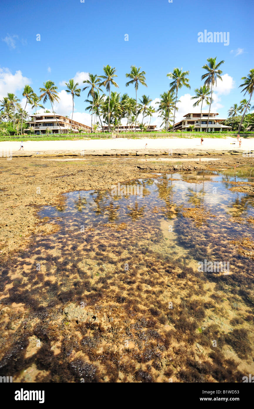 Praia de Forte, Salvador de Bahia, Brazil Stock Photo - Alamy