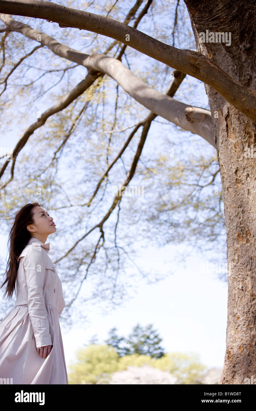 Japanese young woman gazing a big tree Stock Photo - Alamy
