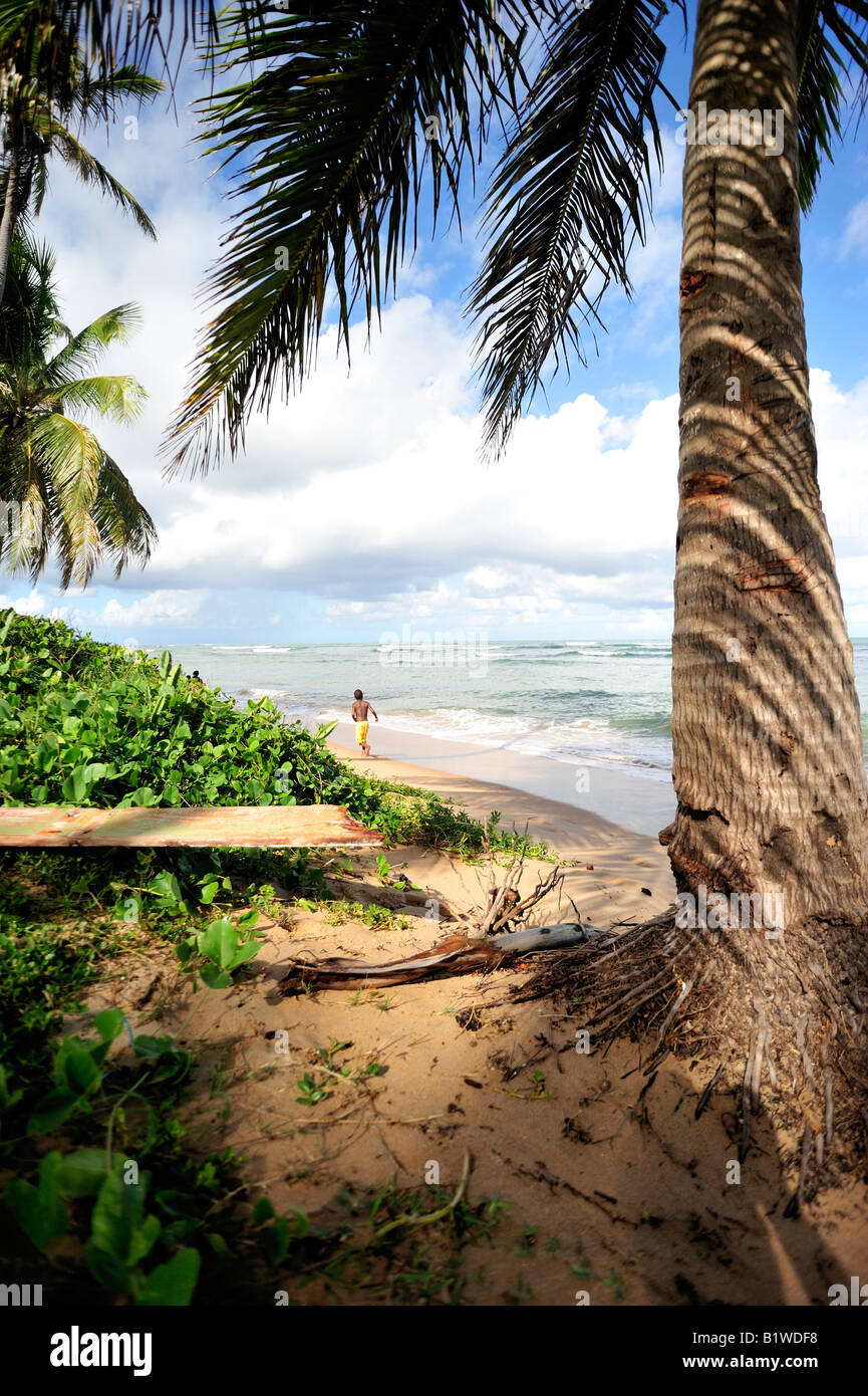 Praia de Forte, Salvador de Bahia, Brazil Stock Photo - Alamy