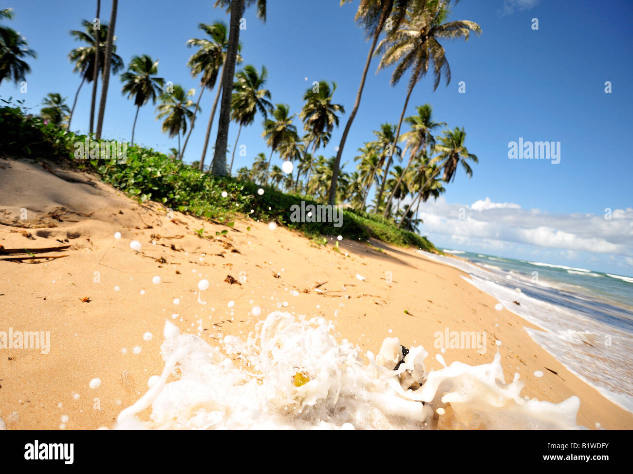 Praia de Forte, Salvador de Bahia, Brazil Stock Photo - Alamy