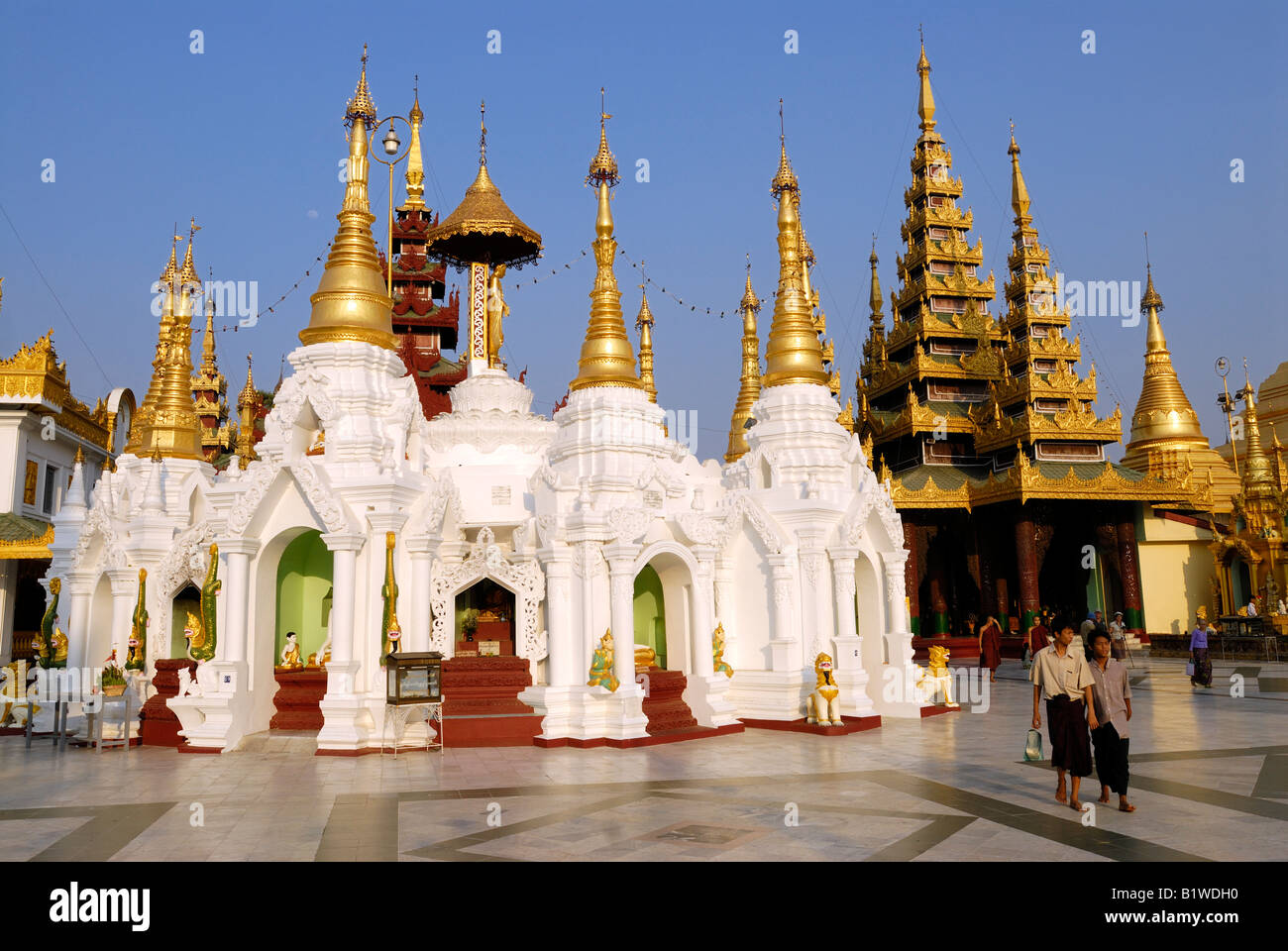 ASIA MYANMAR BURMA BIRMA YANGON YANGOON SHWEDAGON PAGODA one of the ...