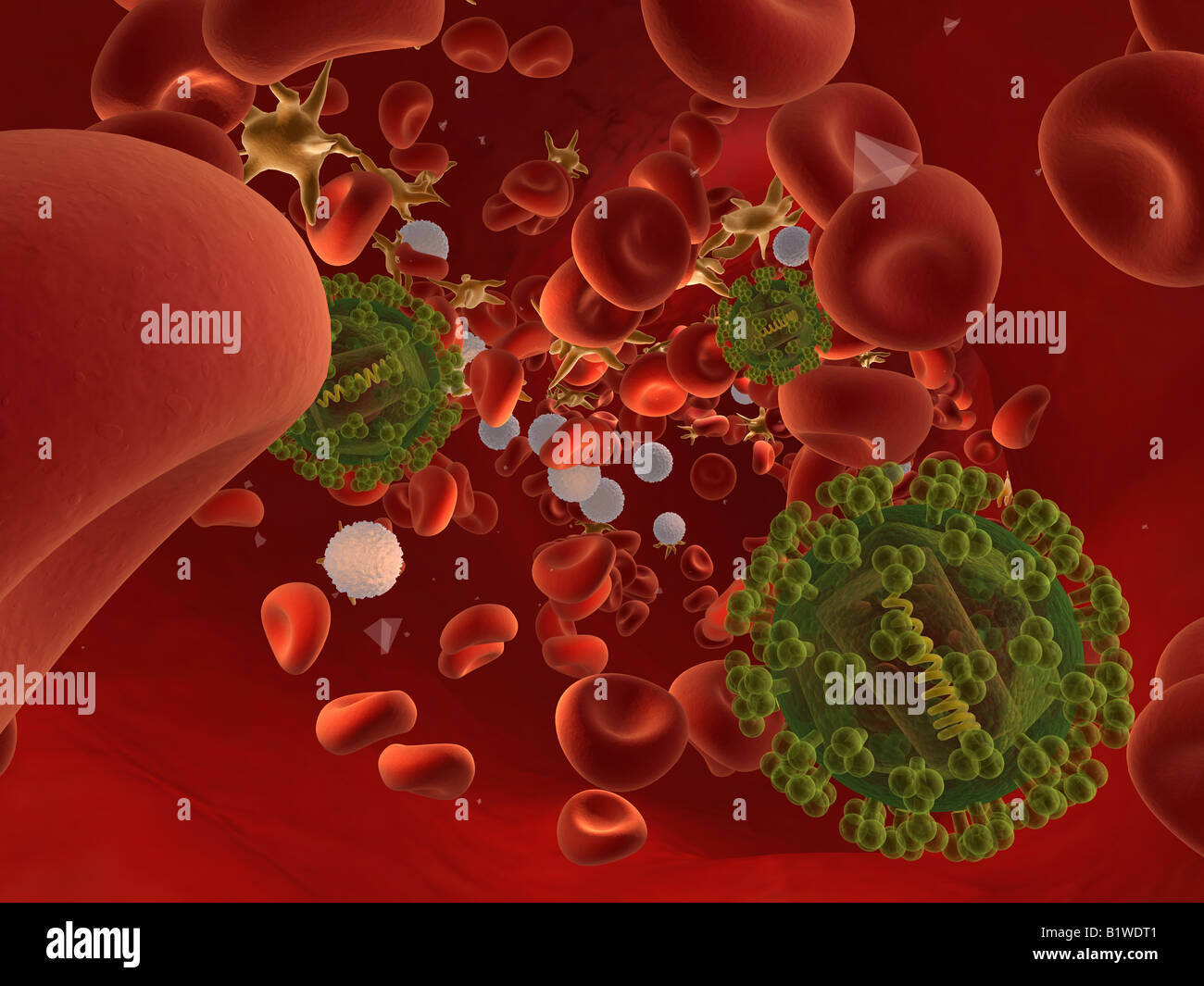 Red blood cells and virus hi-res stock photography and images - Alamy