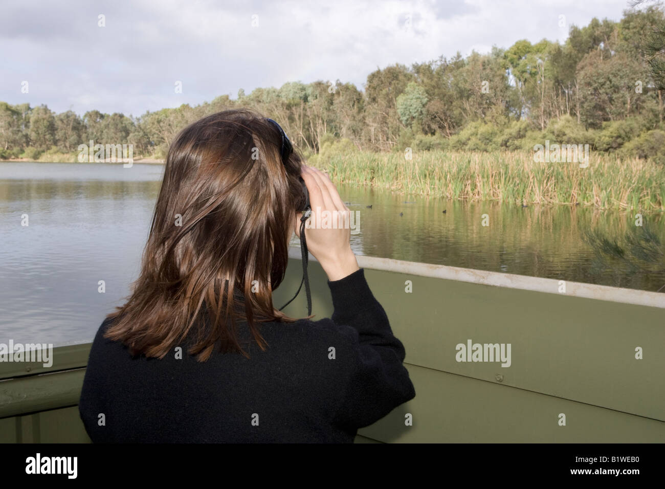 A woman with binoculars birdwatching from a lookout at the side of a ...