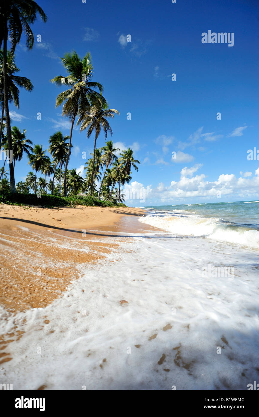Praia de Forte, Salvador de Bahia, Brazil Stock Photo - Alamy