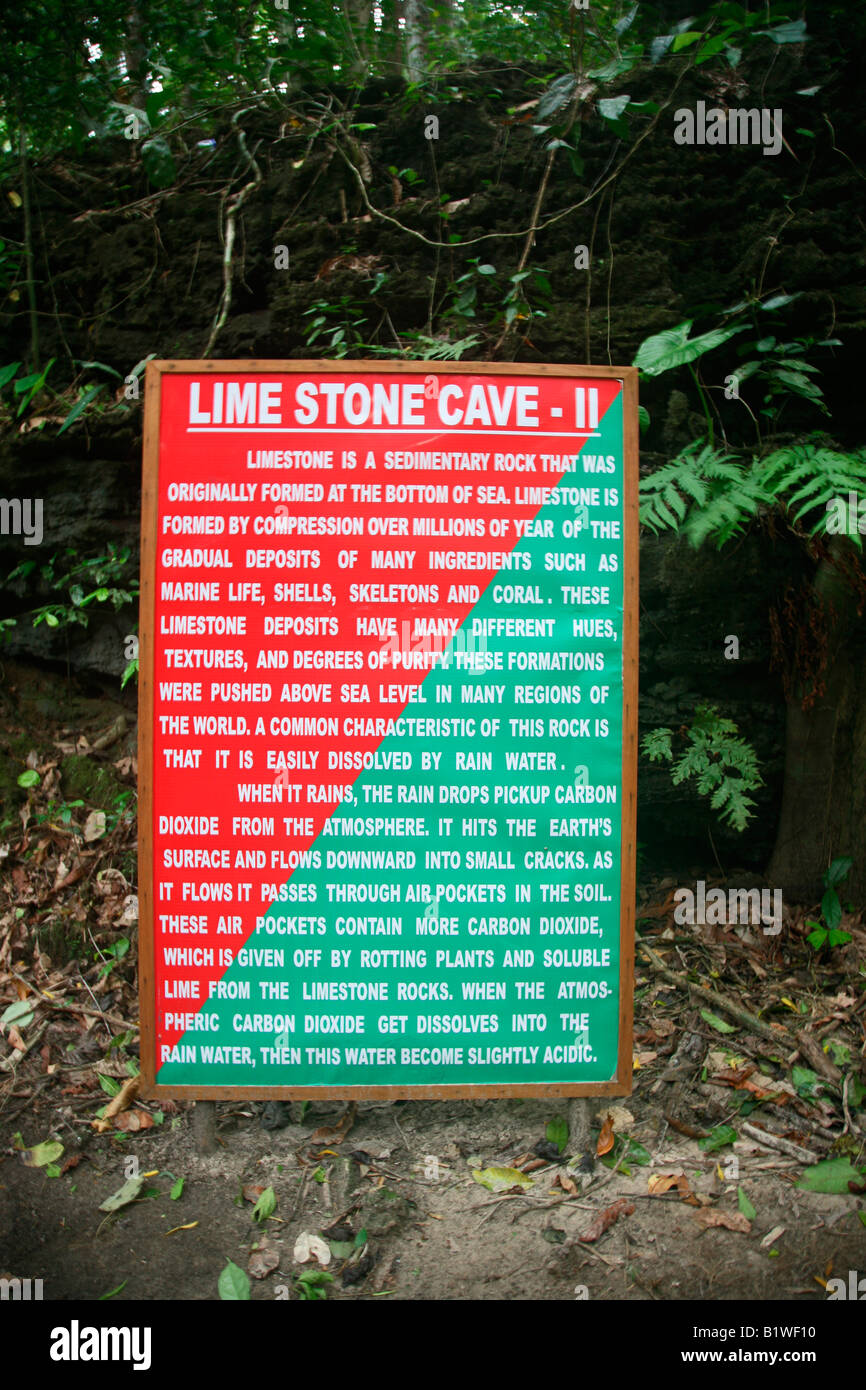Lime stone cave at Baratang island,Andaman,India Stock Photo - Alamy