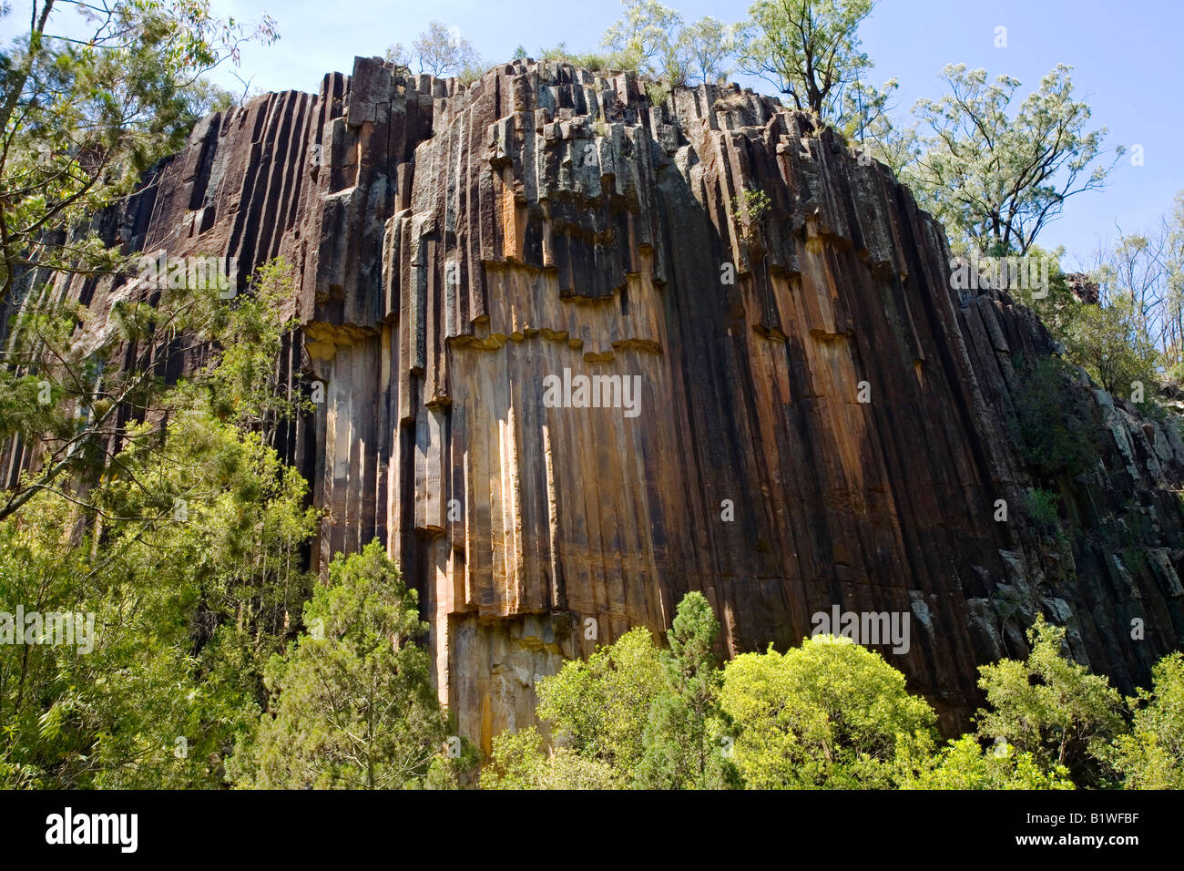 Sawn Rocks is a 40 metre basalt cliff face featuring perpendicular ...