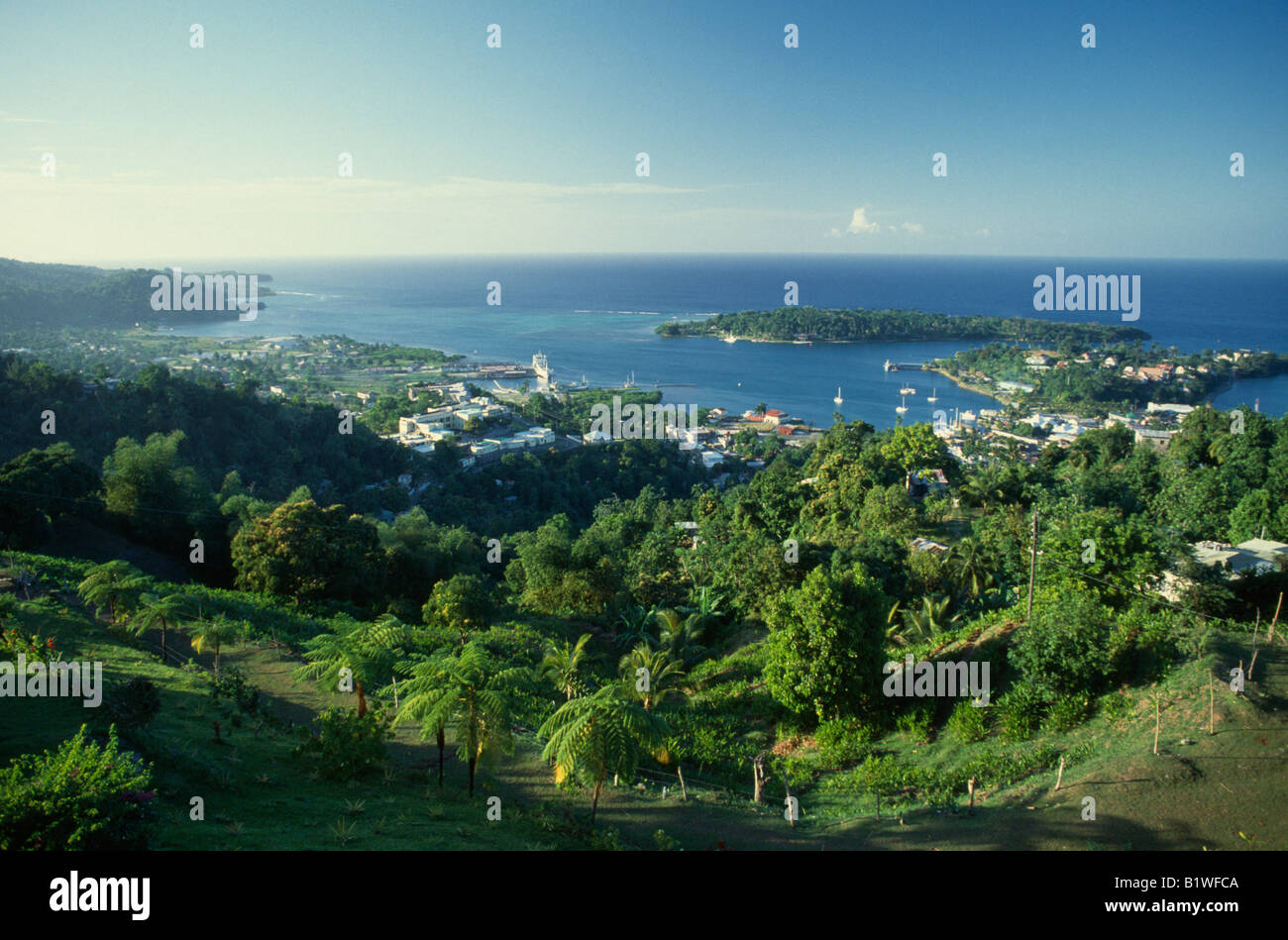 View over tree covered hillside towards waterside town and harbour ...