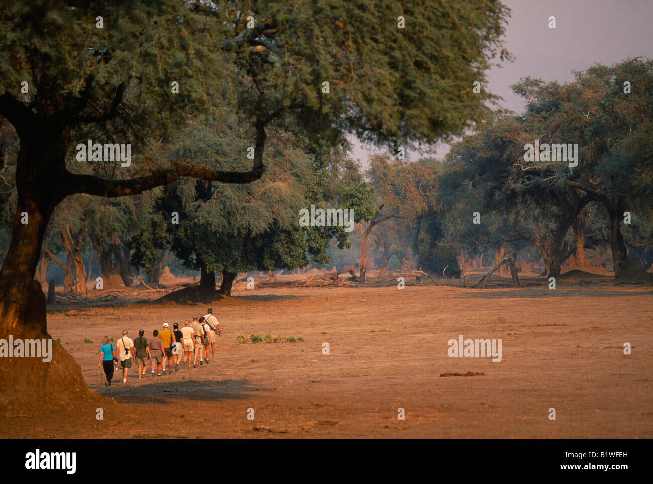 ZIMBABWE Mana Pools National Park Stock Photo - Alamy