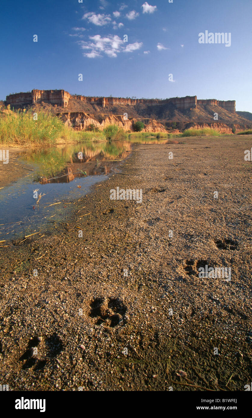 ZIMBABWE Masvingo Gonarezhou National Park Stock Photo - Alamy