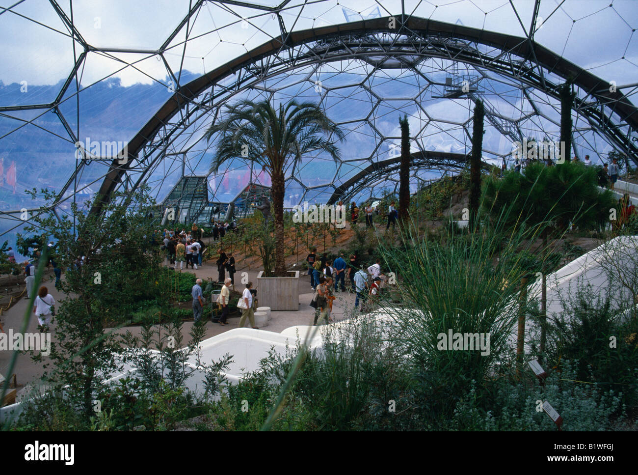Eden Project. Warm Temperate Biome interior with visitors walking on ...