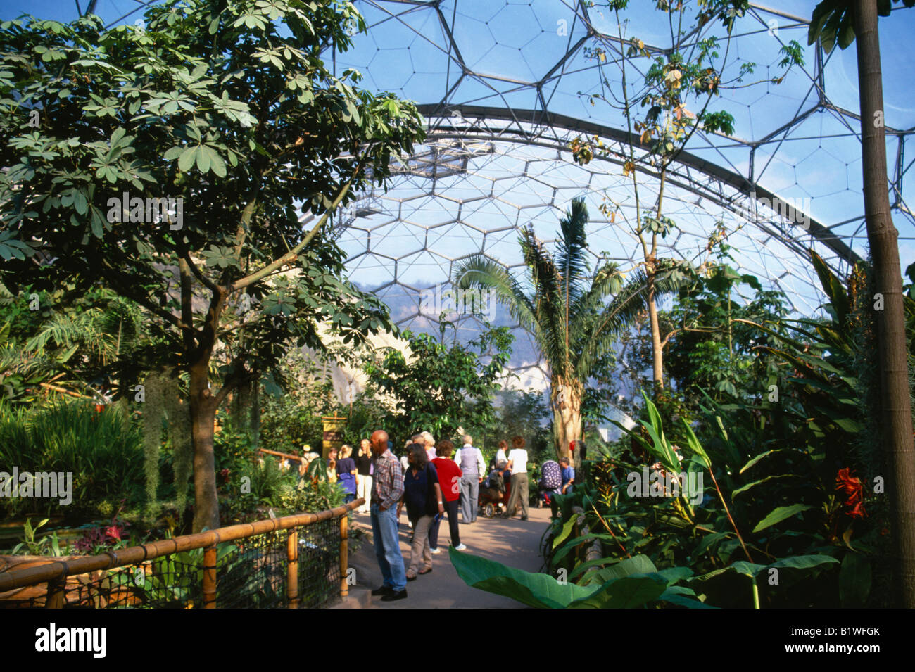 Eden Project. Humid Tropics Biome interior, visitors on pathway amongst ...