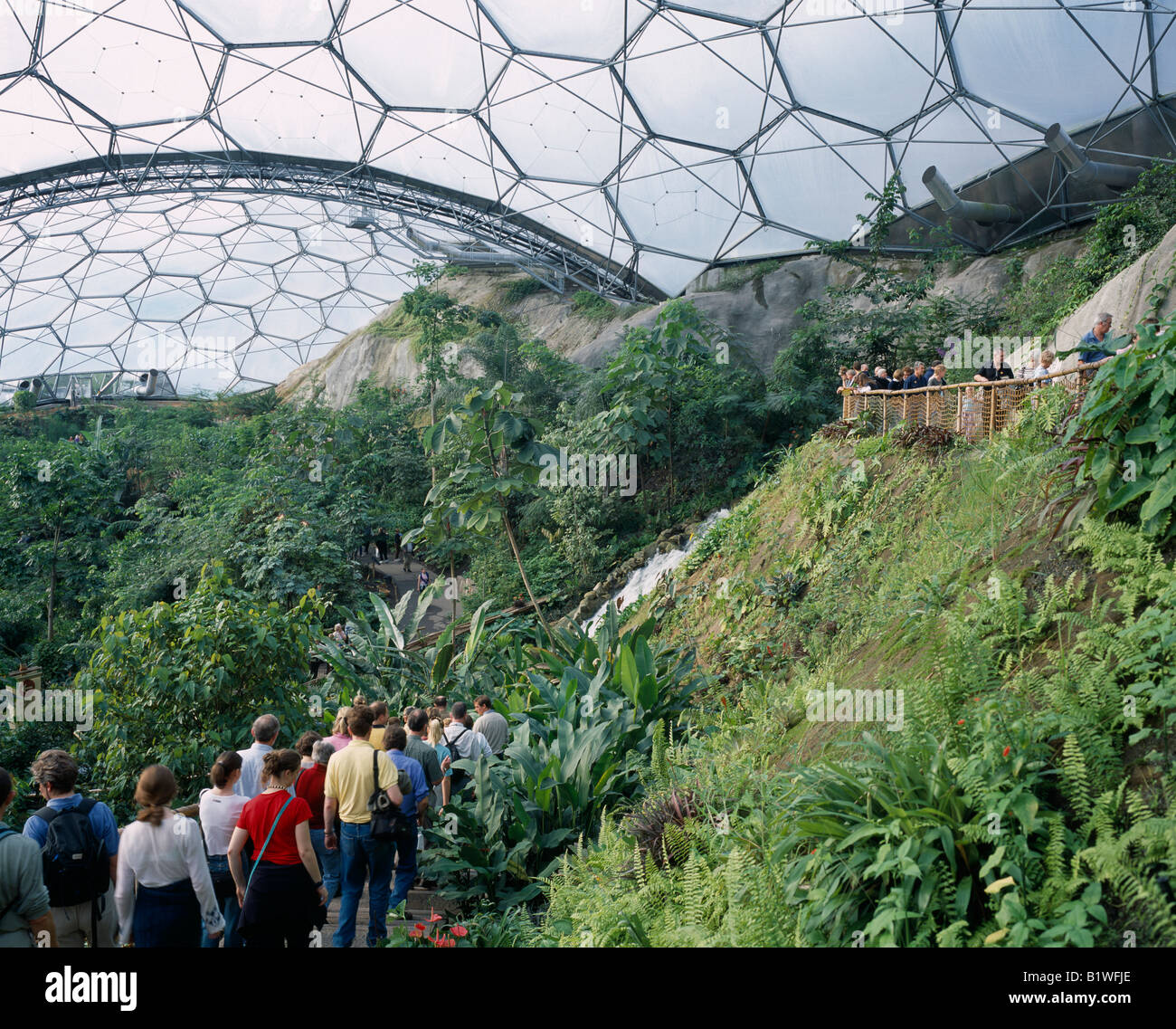ENGLAND Cornwall St Austell Eden Project Tropical dome interior with ...