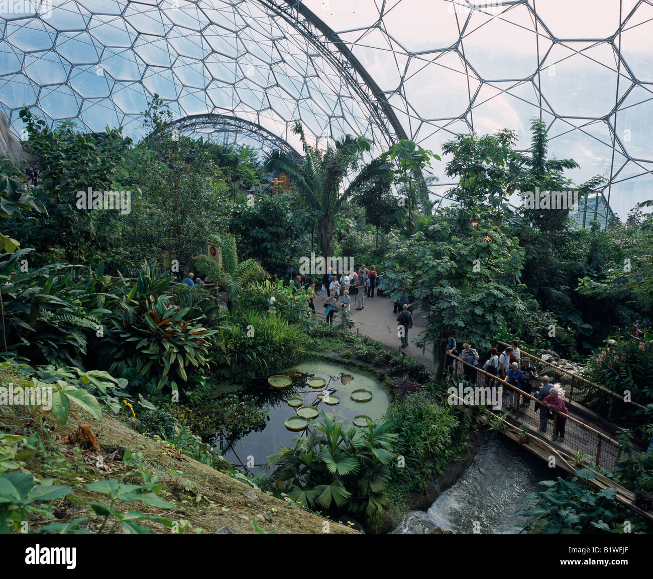 ENGLAND Cornwall St Austell Eden Project Tropical dome interior with ...