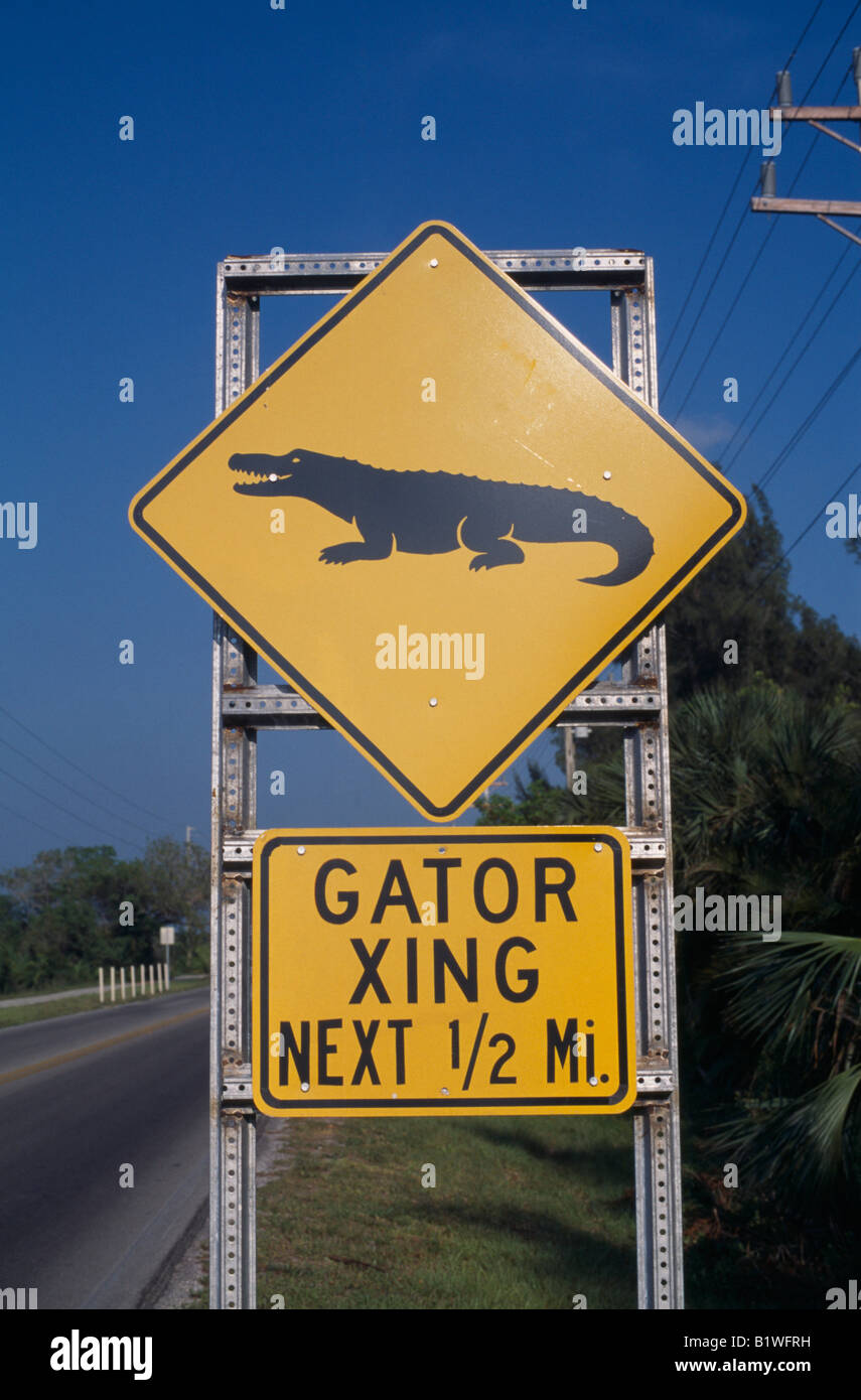 Gator island hi-res stock photography and images - Alamy