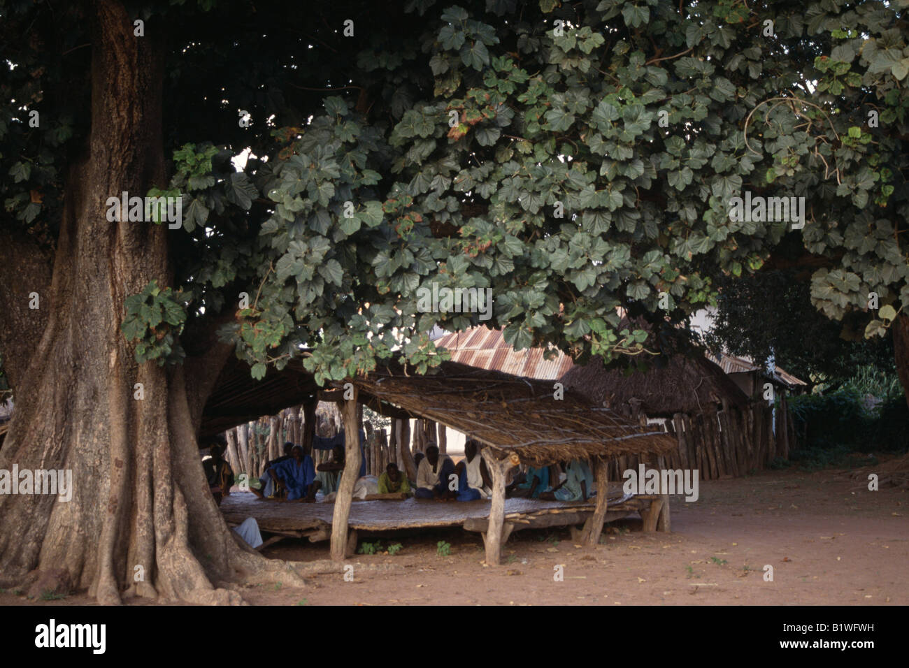Griot storyteller hi-res stock photography and images - Alamy