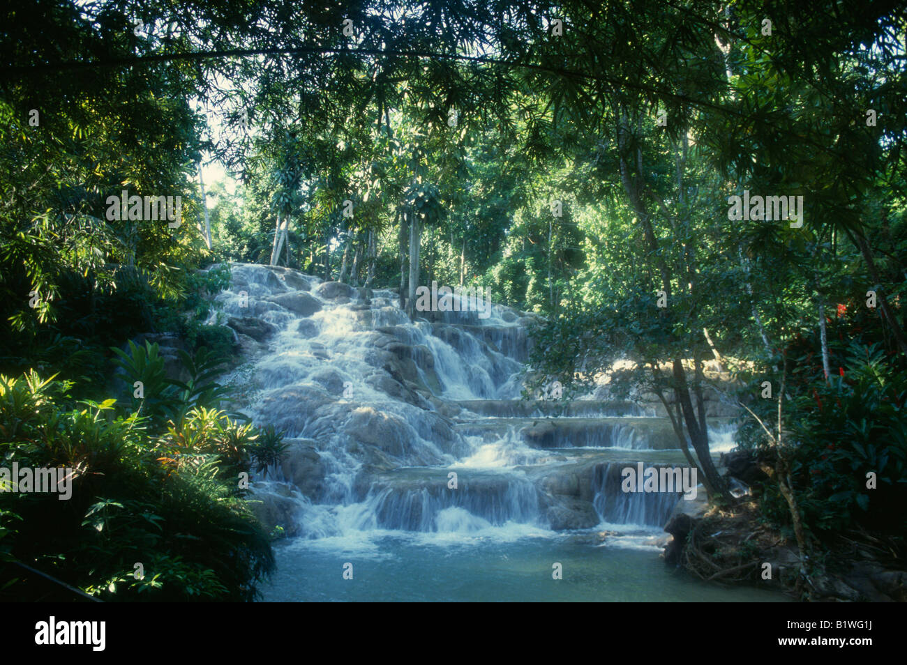 Dunns River Falls. Waterfall tumbling over rocks surrounded by trees ...